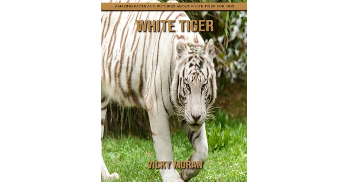 White Tiger: Amazing Facts and Pictures about White Tiger for Kids by ...