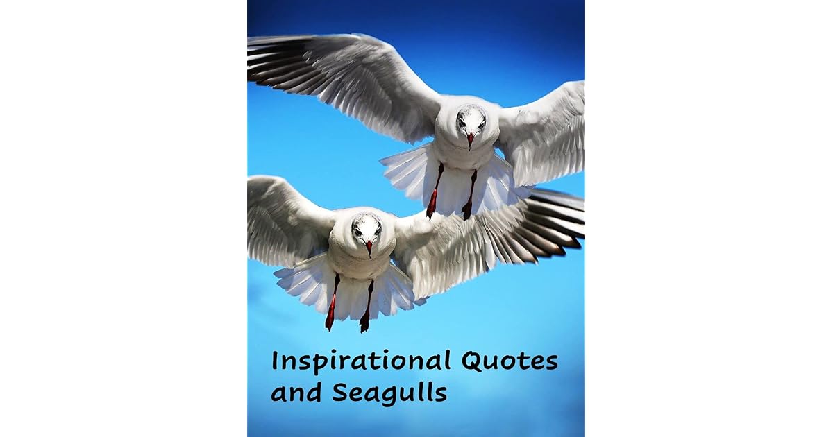 Inspirational Quotes and Seagulls: Find Calm, Peace, and Stress Relief ...
