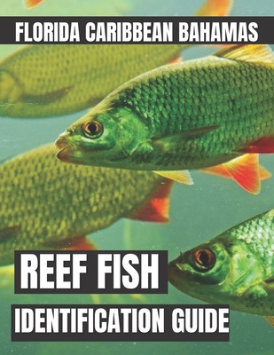 Reef Fish Identification Guide: Florida Caribbean Bahamas by Karish Ys ...