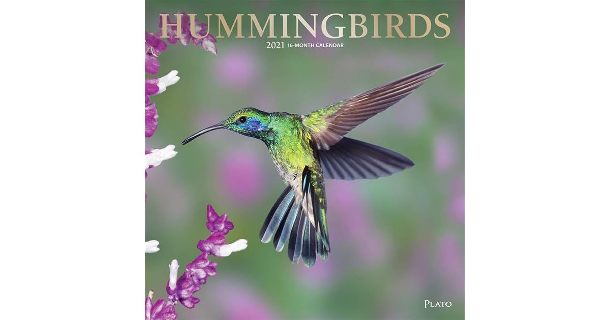 Hummingbirds 2021 12 x 12 Inch Monthly Square Wall Calendar with Foil ...