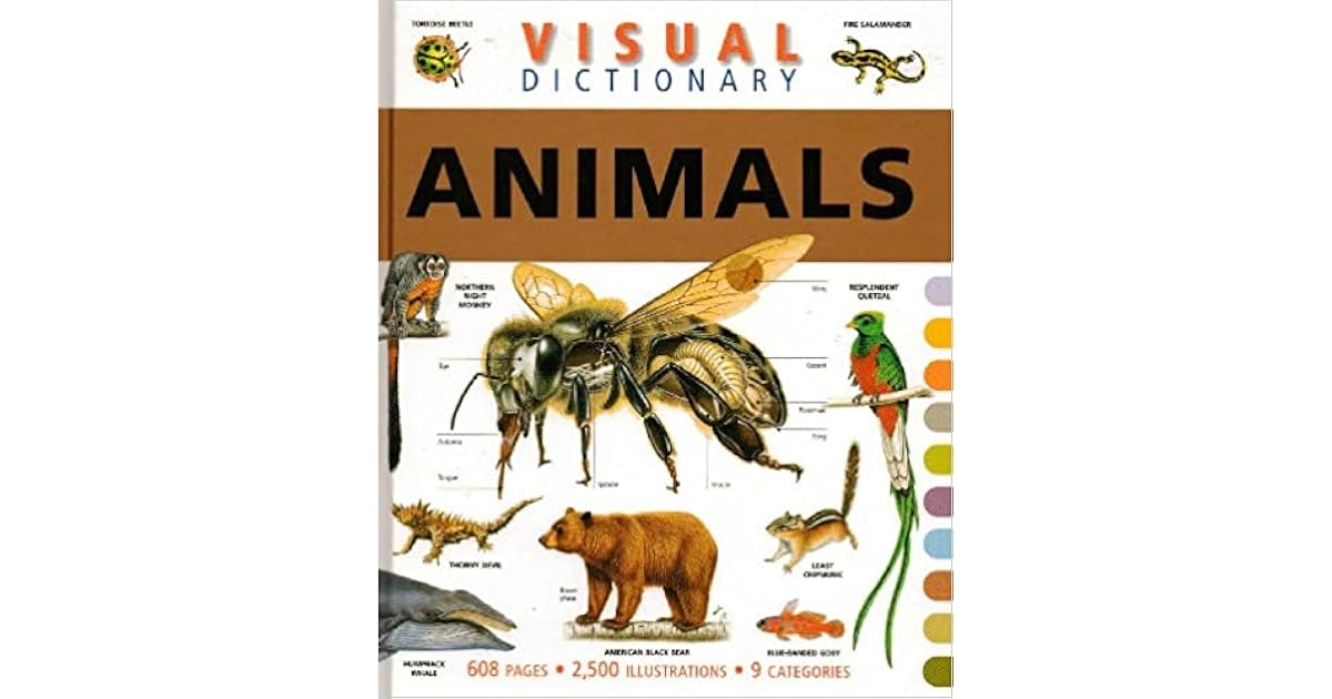Visual Dictionary - Animals by Encyclopedia of Discovery
