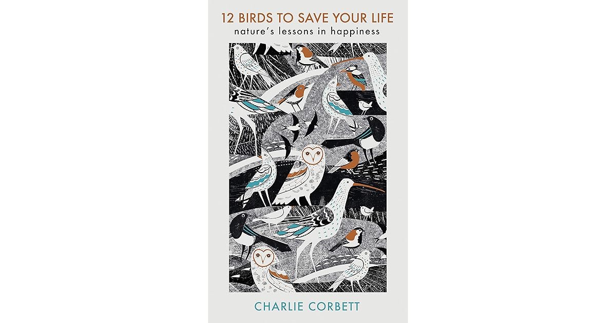 12 Birds to Save Your Life: Nature's Lessons in Happiness by Charlie ...