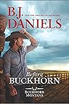 Colt Brothers Investigation Series by B.J. Daniels