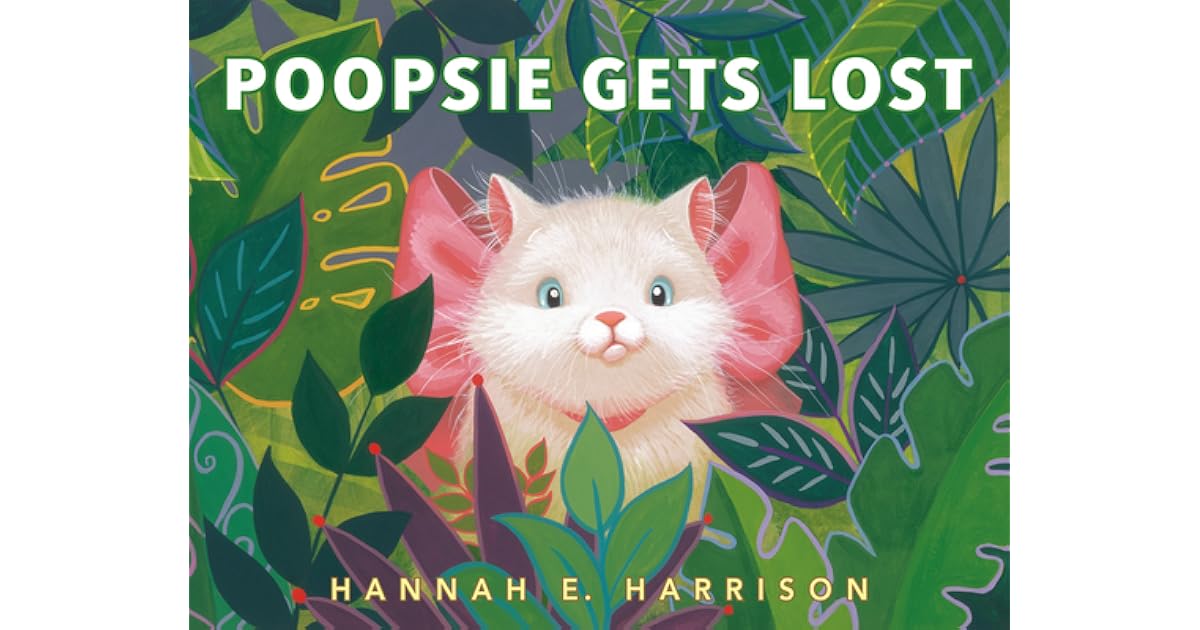 Poopsie Gets Lost by Hannah E Harrison