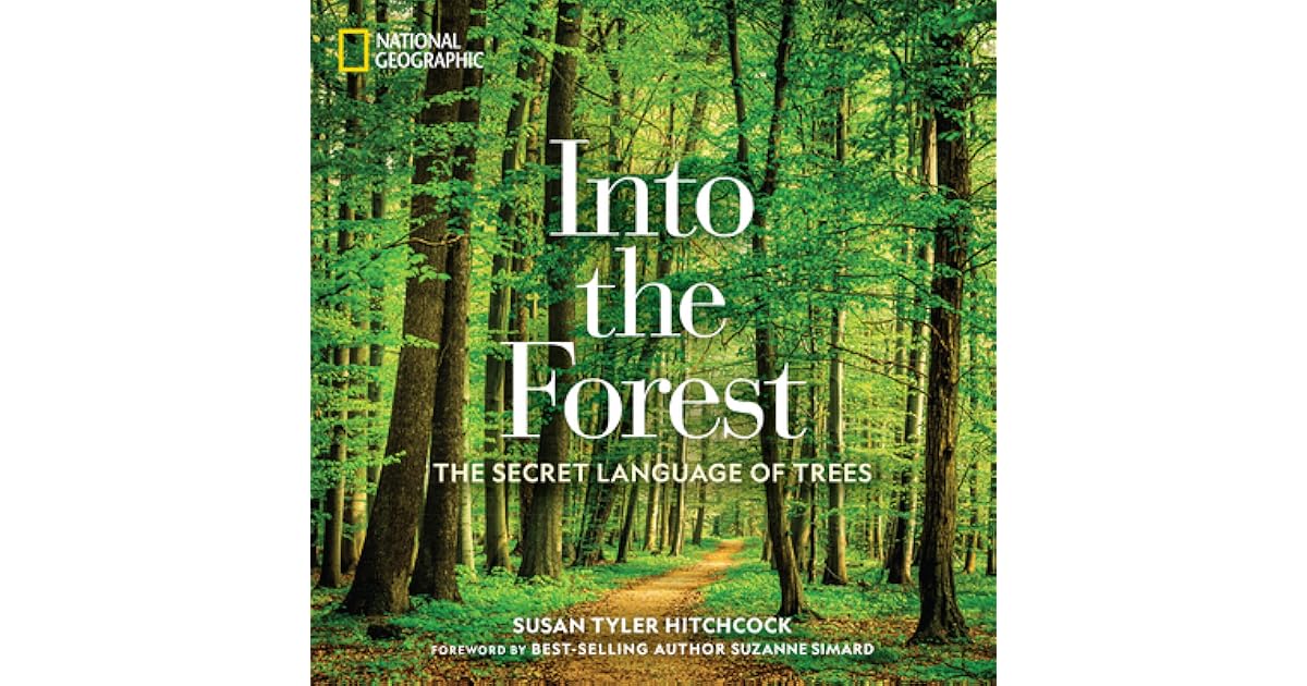 Into the Forest: The Secret Language of Trees by Susan Hitchcock