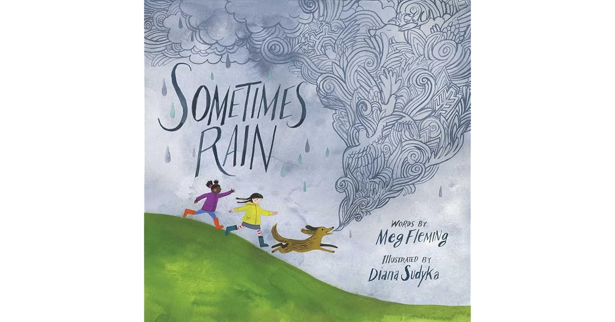 Sometimes Rain by Meg Fleming