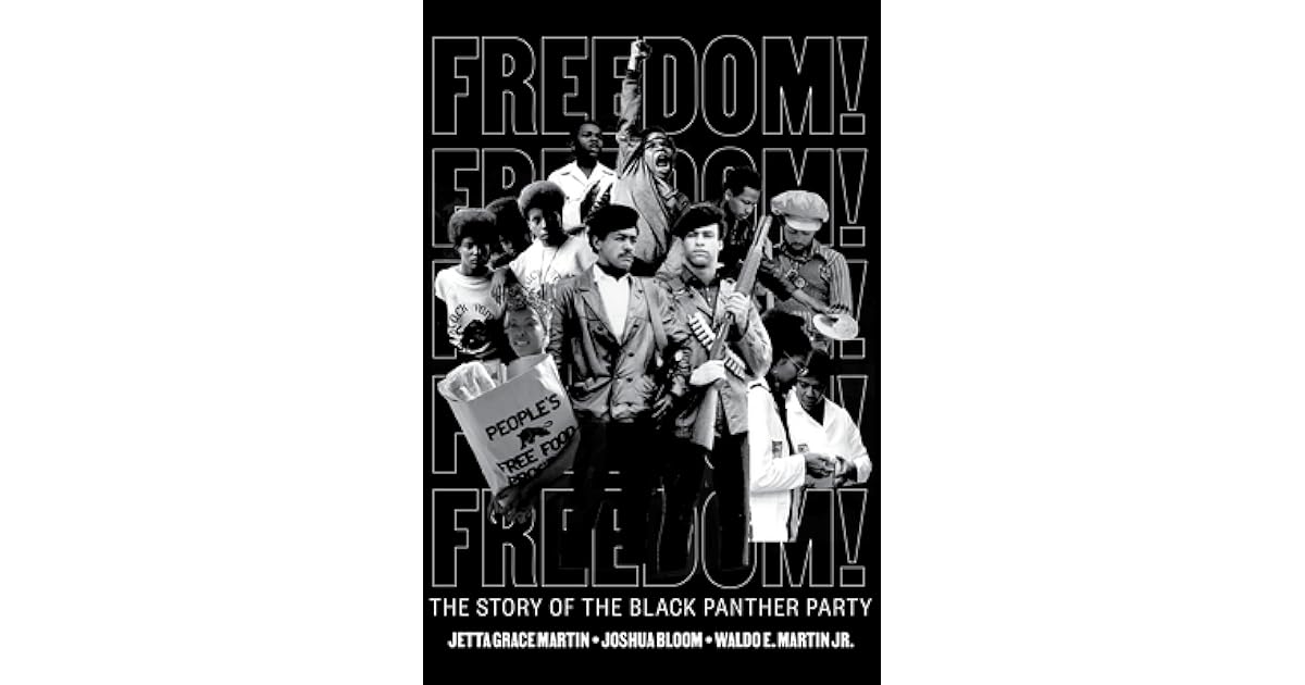 Freedom! The Story of the Black Panther Party by Jetta Grace Martin