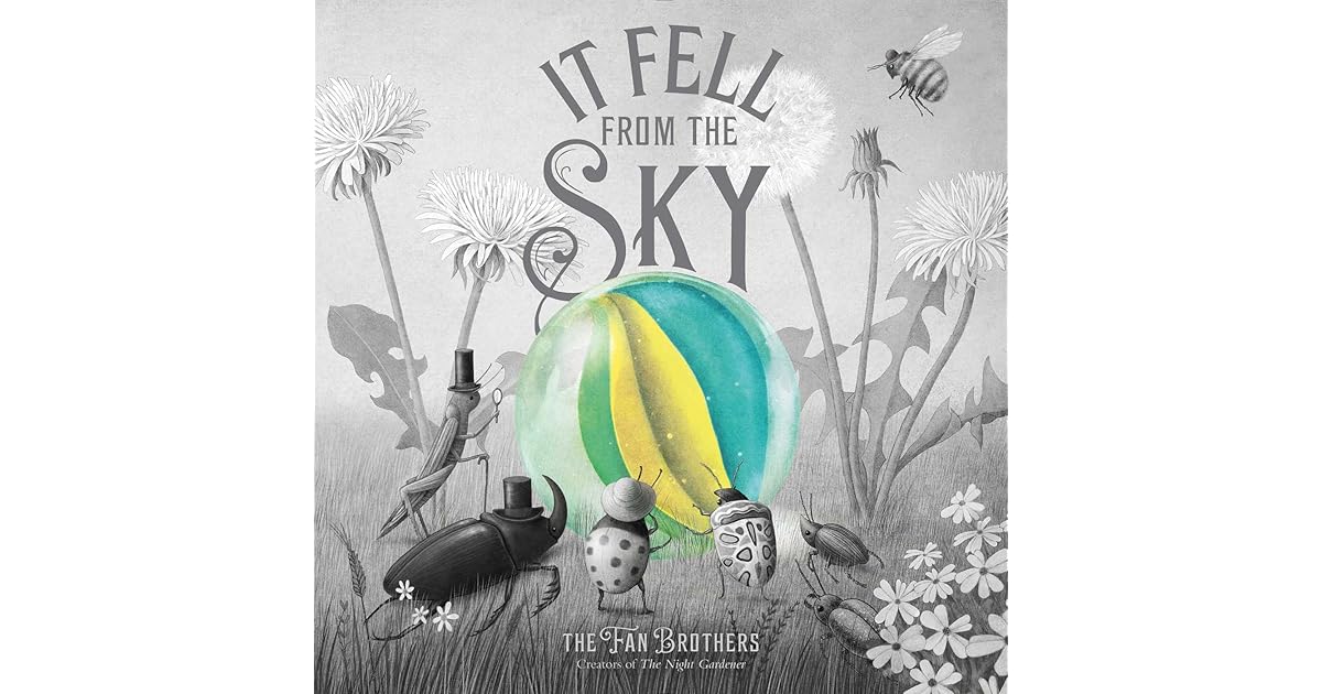 It Fell from the Sky by Terry Fan