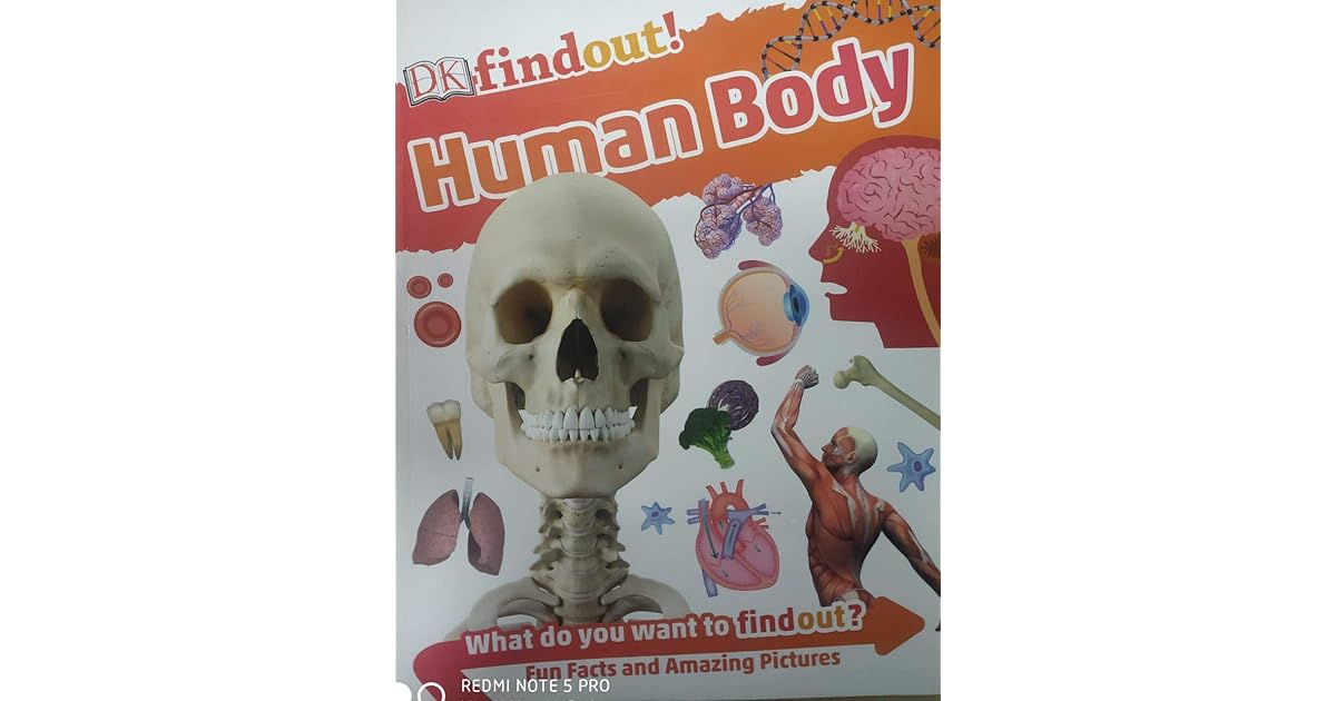 Dk Findout Human Body By Na