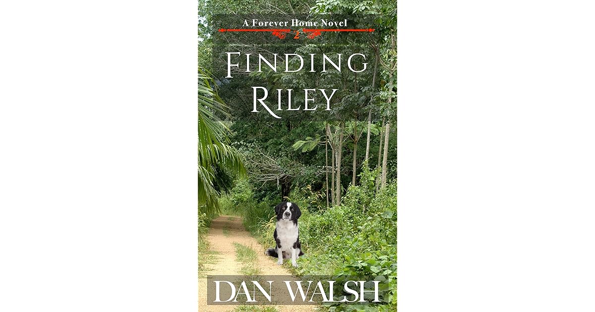Finding Riley (A Forever Home, #2) by Dan Walsh