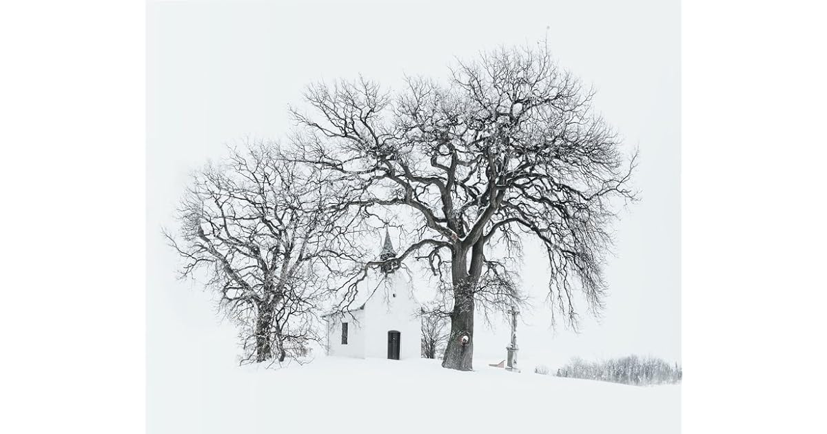 Book giveaway for An Unexpected Christmas Encounter by Lelia Long ...