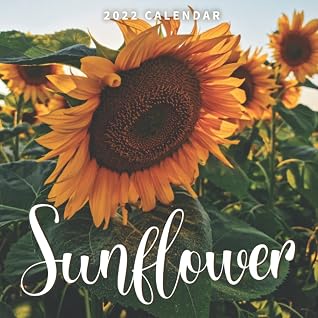 Sunflowers 2022 Calendar: Beautiful Calendar with Large Grid for Note ...