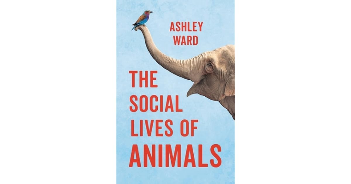 The Social Lives of Animals by Ashley Ward