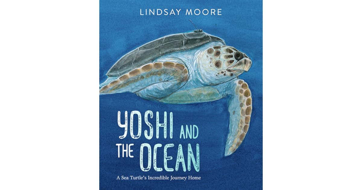 Yoshi and the Ocean: A Sea Turtle's Incredible Journey Home by Lindsay ...