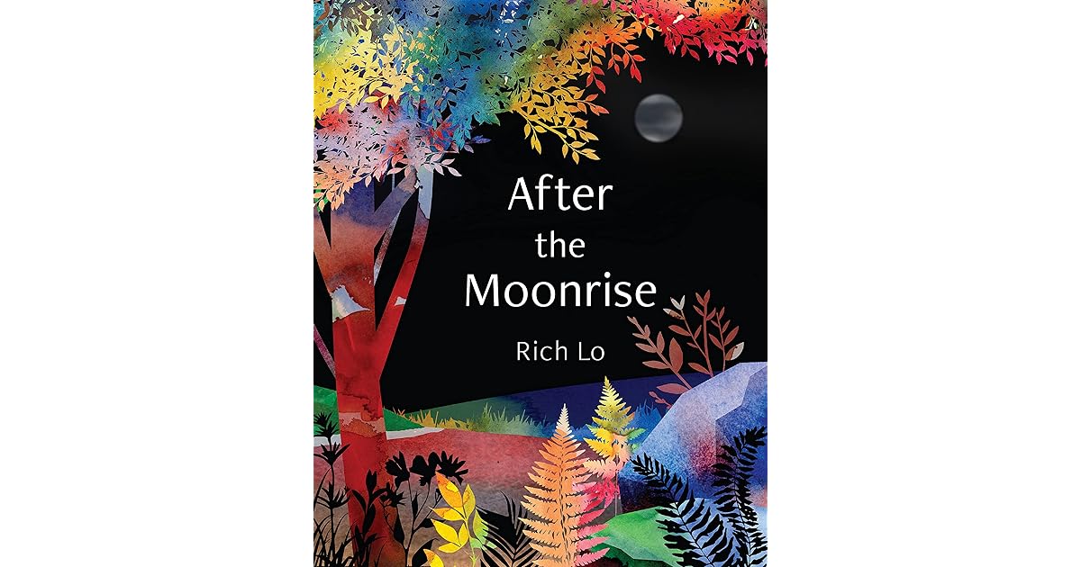 The Library Lady (The United States)’s review of After the Moonrise