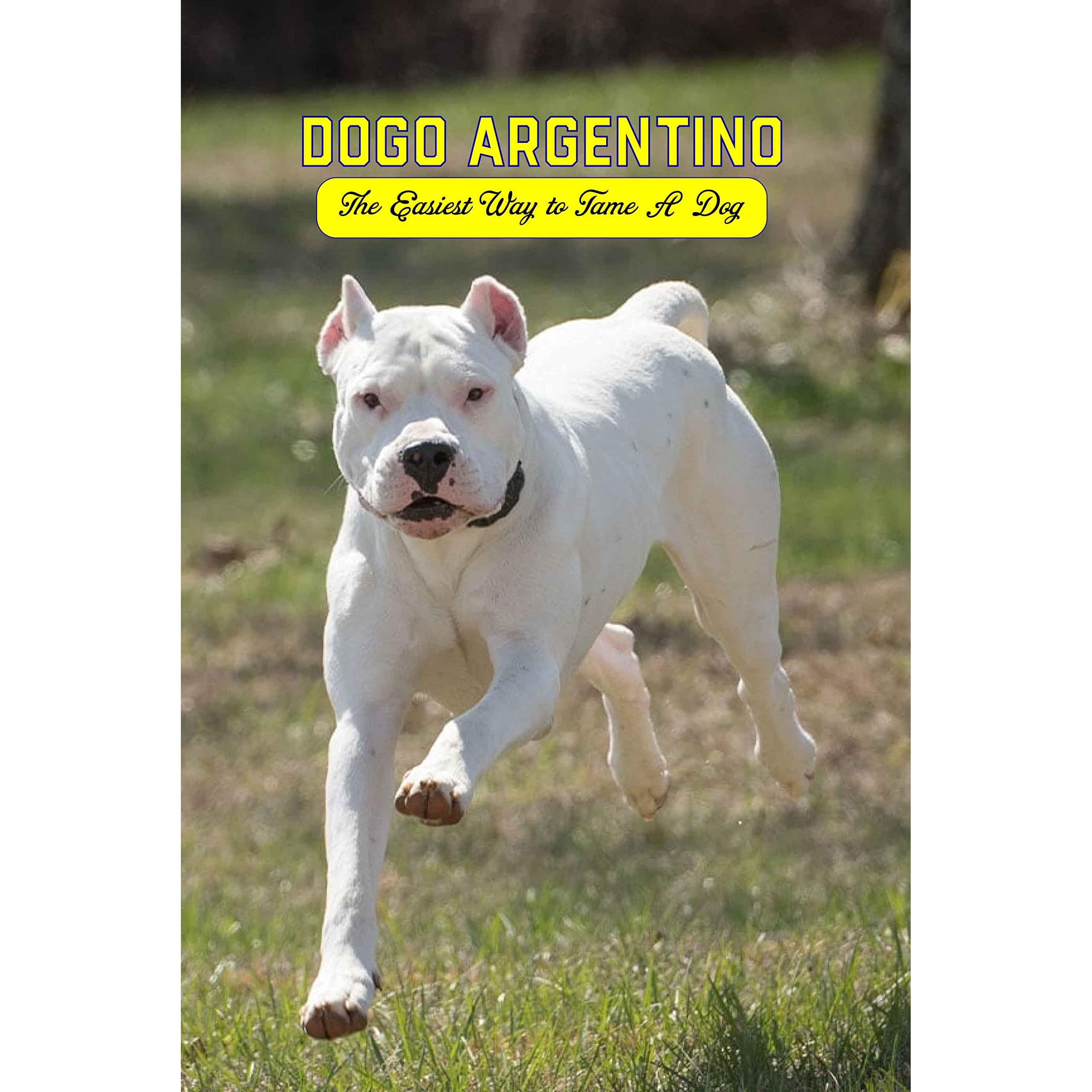 How Do You Tame A Dog