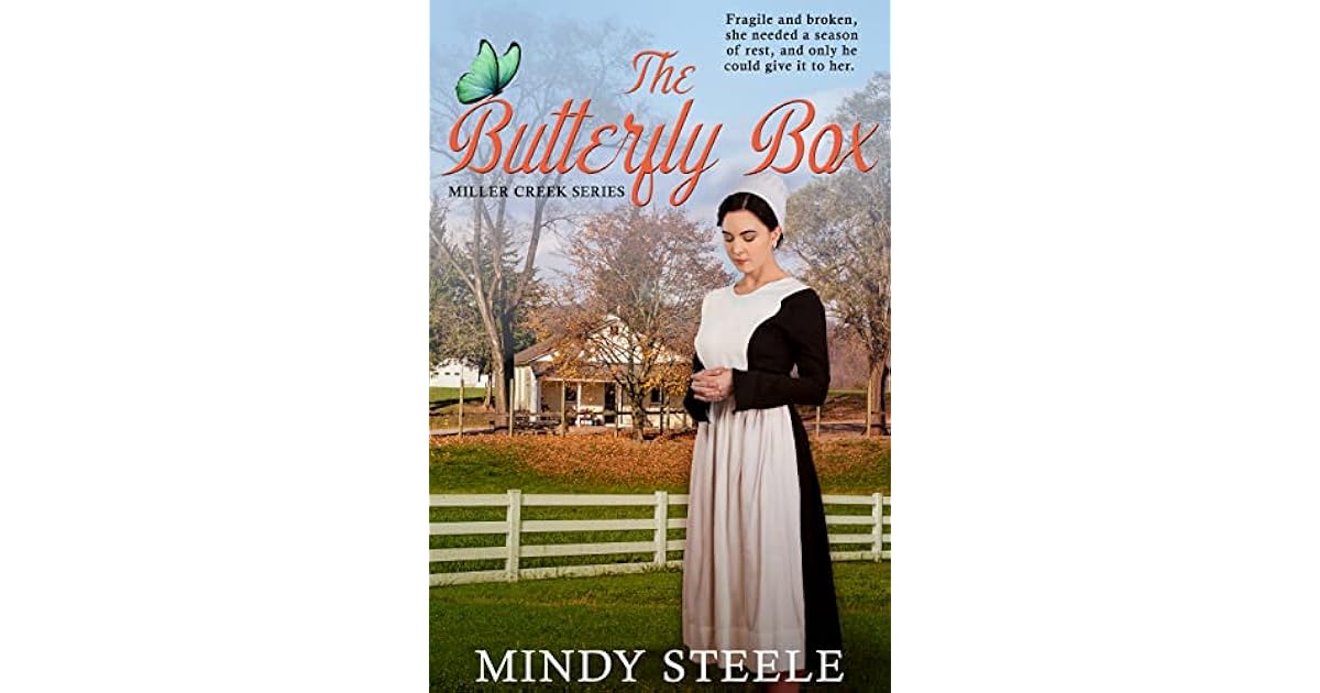 The Butterfly Box by Mindy Steele