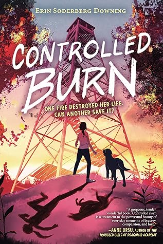 Controlled Burn by Erin Soderberg Downing