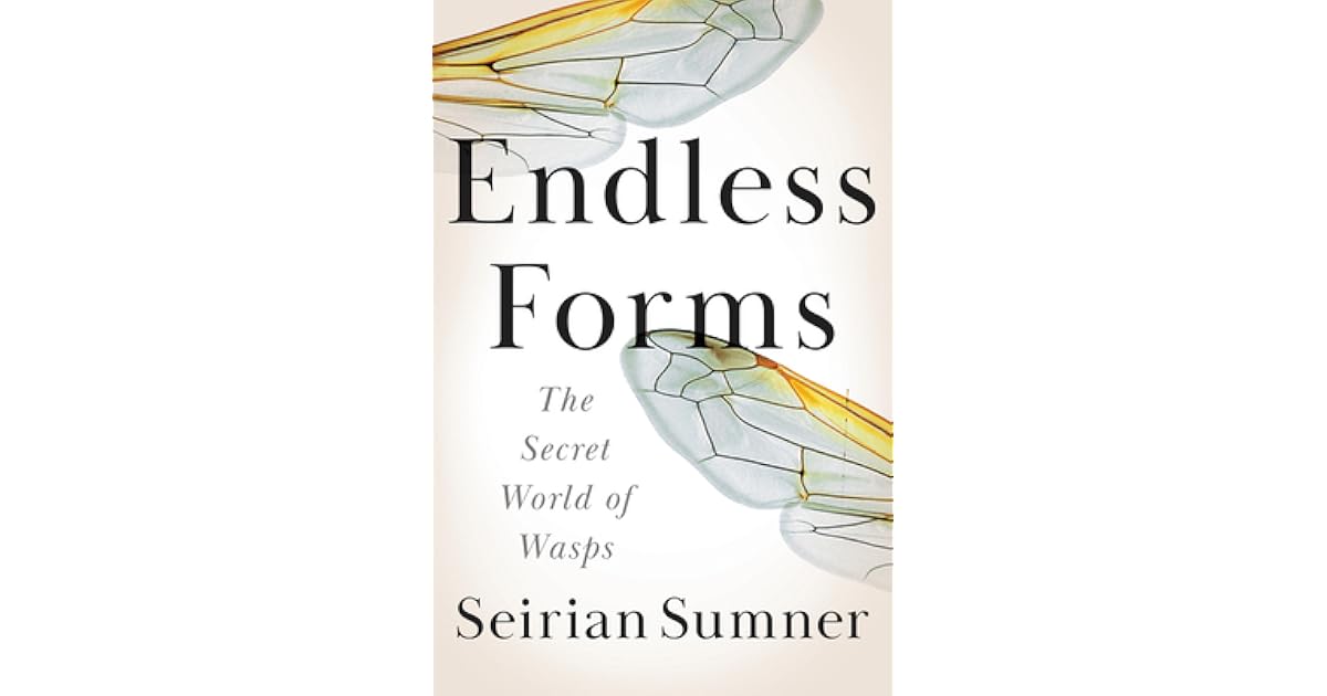 Endless Forms: The Secret World of Wasps by Seirian Sumner