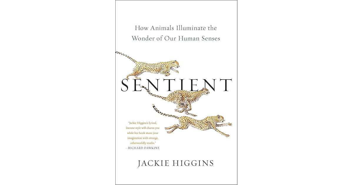 Book giveaway for Sentient: How Animals Illuminate the Wonder of Our ...