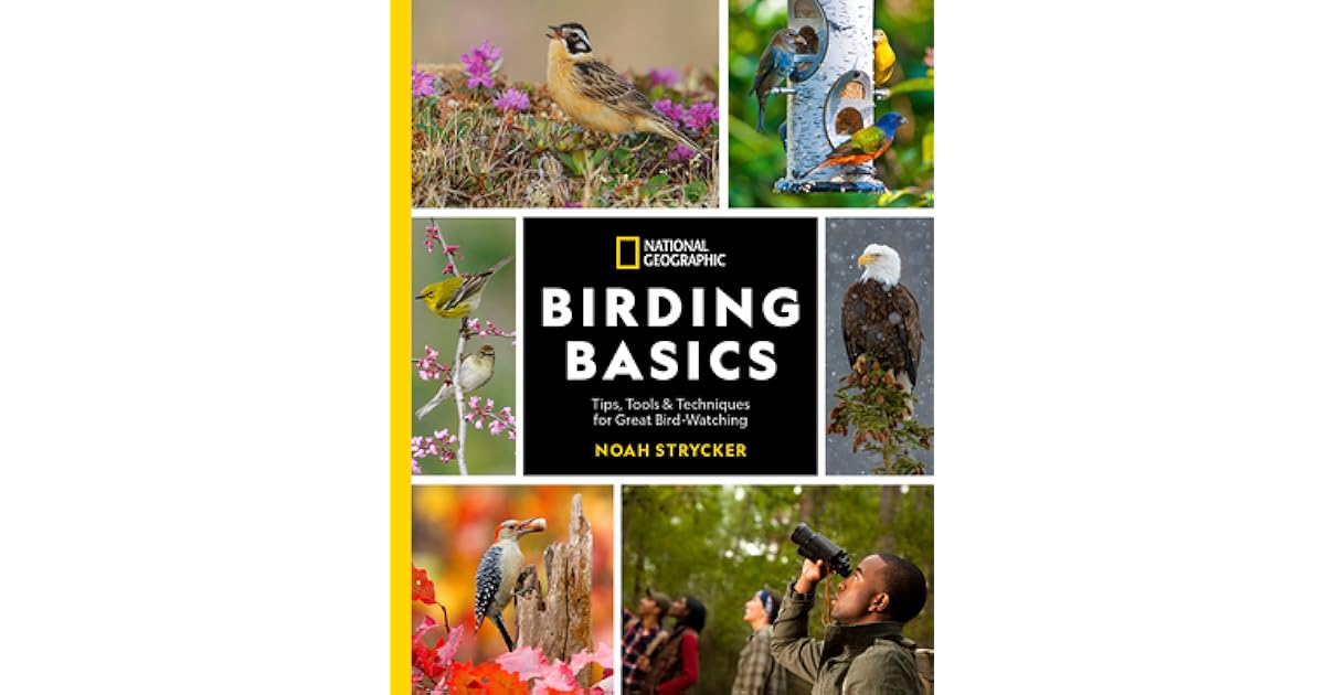 Book giveaway for National Geographic Birding Basics: Tips, Tools, and ...