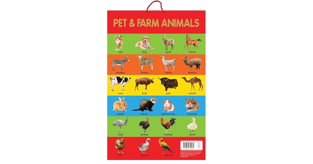 Pet Farm Animals Early Learning Educational Posters For Children pet-farm-animals-early-learning-educational-posters-for-children