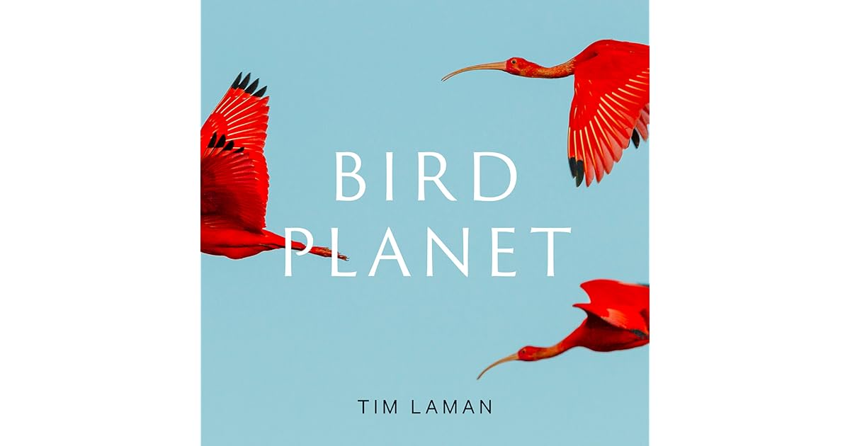 Bird Planet: A Photographic Journey by Tim Laman