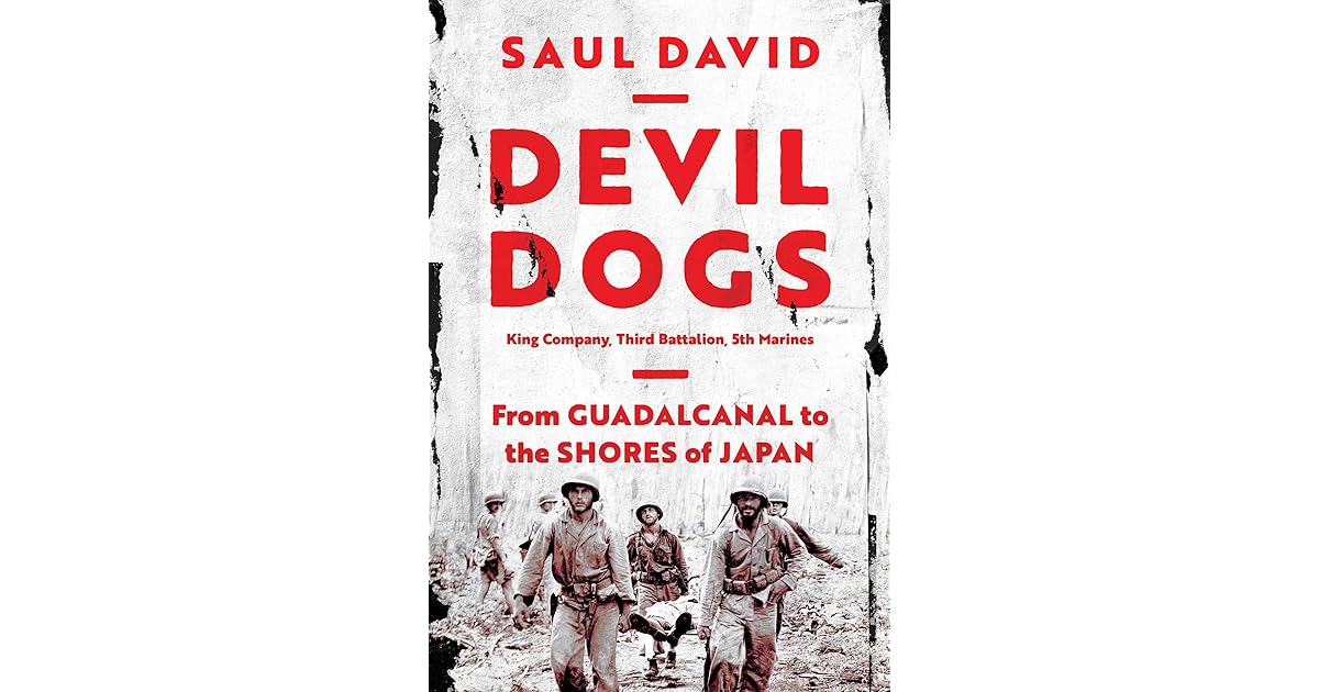Devil Dogs: King Company, Third Battalion, 5th Marines: From ...