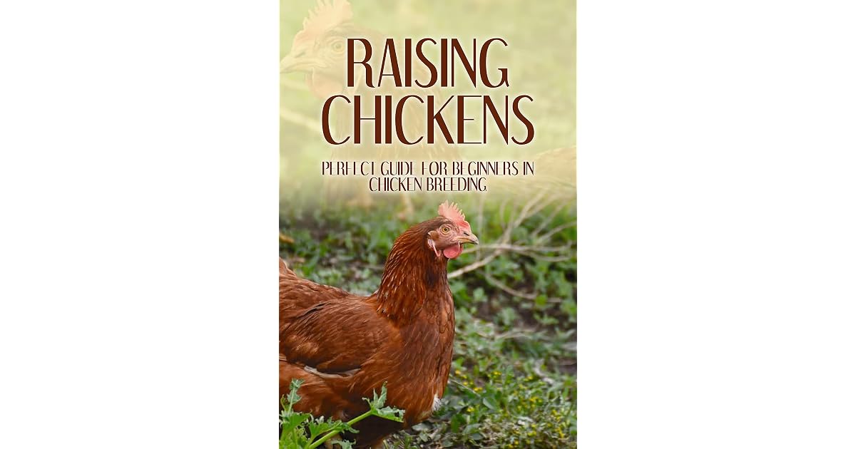 Raising Chickens: Perfect Guide For Beginners In Chicken Breeding ...