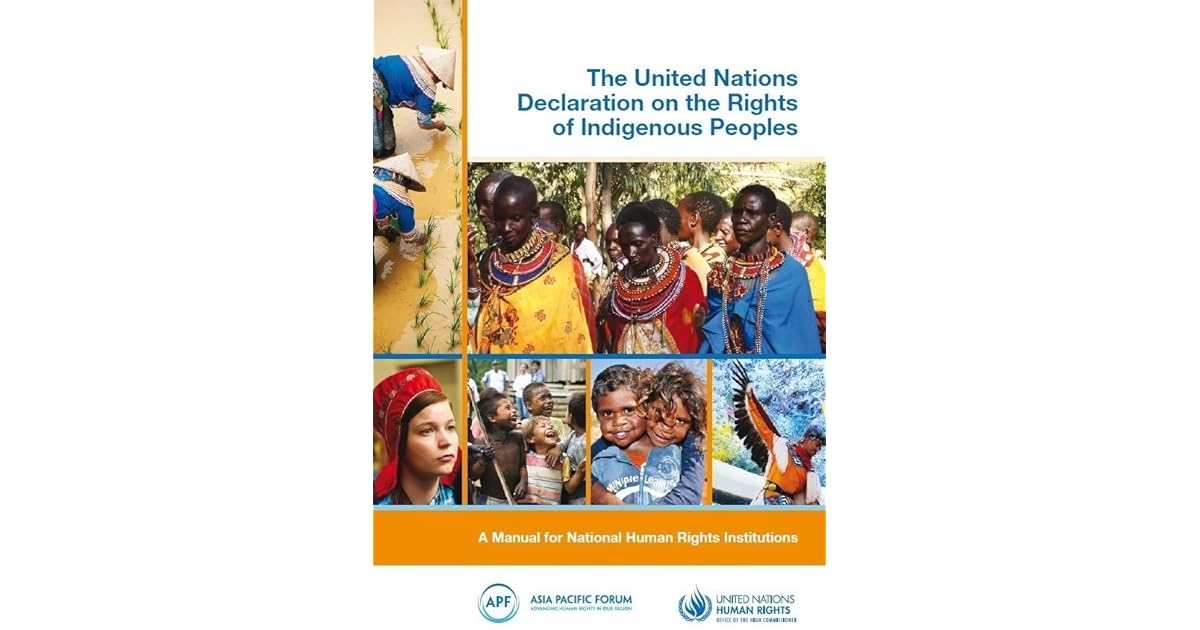 The United Nations Declaration on the Rights of Indigenous Peoples: A ...