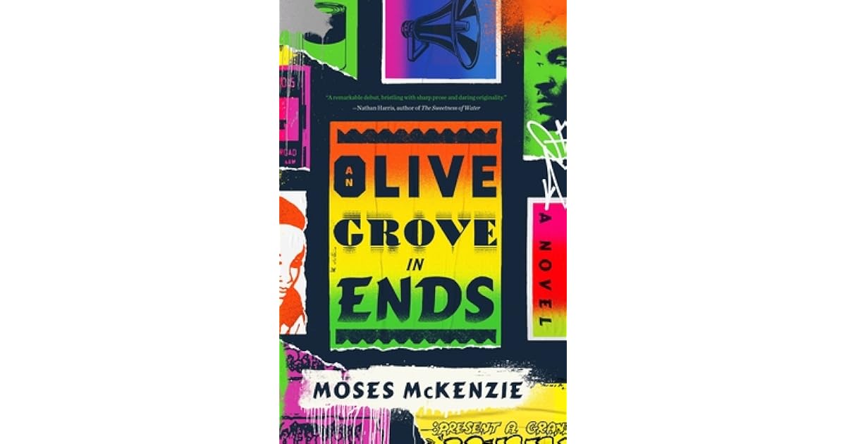 An Olive Grove in Ends by Moses McKenzie