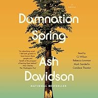Damnation Spring by Ash Davidson