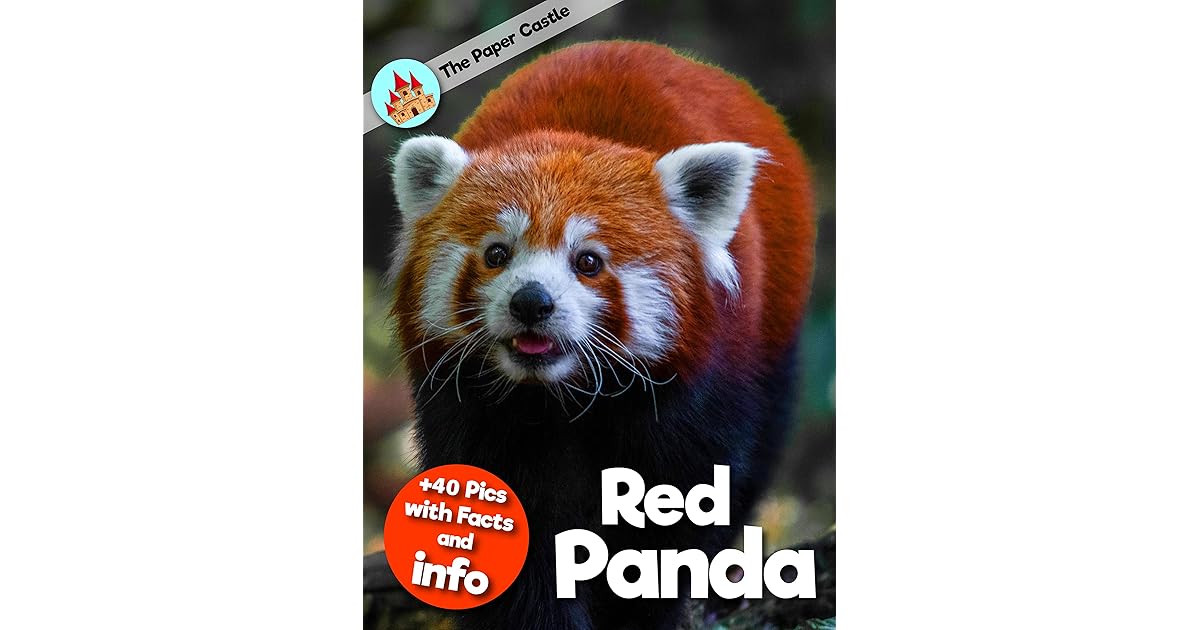 Red Panda Book: Fun Facts For Kids With High-Quality Pictures by The ...