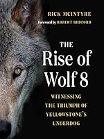 The Rise of Wolf 8: Witnessing the Triumph of Yellowstone's Underdog by ...
