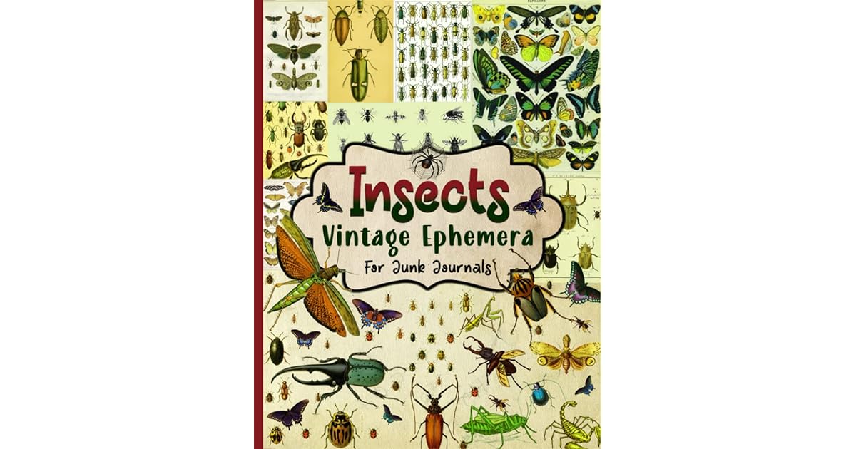 Insects Vintage Ephemera For Junk Journals: Over 300 Piece Collection ...
