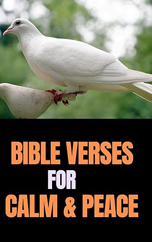 Bible Verses For Peace And Calm: Improved devotional to stay strong in ...