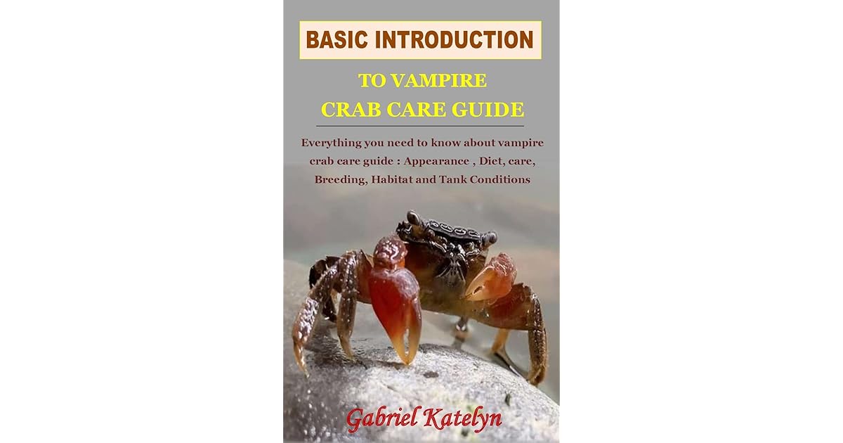 BASIC INTRODUCTION TO VAMPIRE CRAB CARE GUIDE: Everything you need to ...