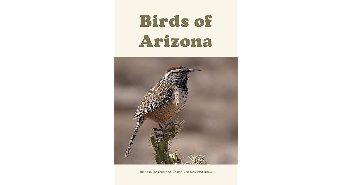 Birds of Arizona: Birds in Arizona and Things You May Not Know by Kevin ...