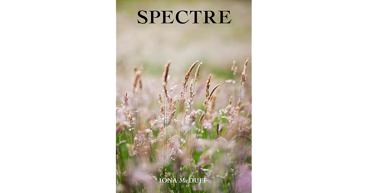 Spectre: Book 7 (The MacDouglas Highlander series) by Iona McDuff