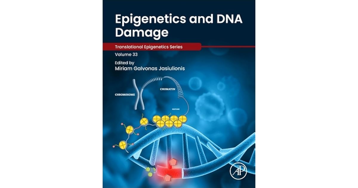 Epigenetics and DNA Damage: Volume 33 by Miriam Galvonas Jasiulionis