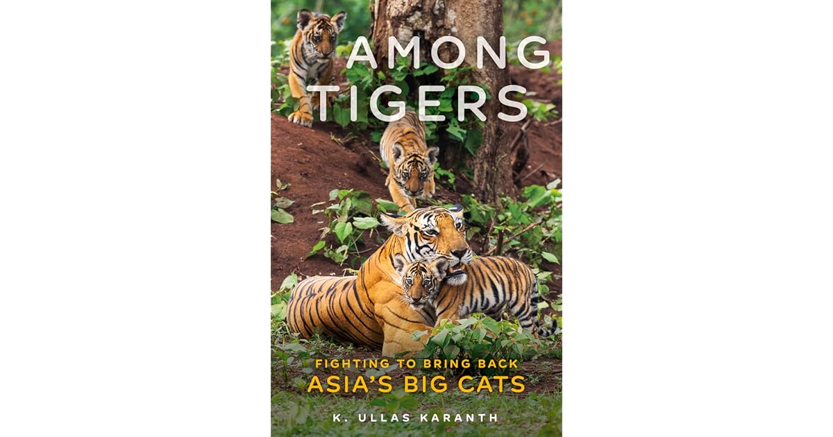 Book giveaway for Among Tigers: Fighting to Bring Back Asia's Big Cats ...