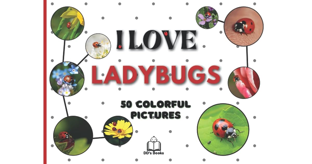 I Love Ladybugs: 50 Colorful Pictures of Ladybugs - Book for Children ...