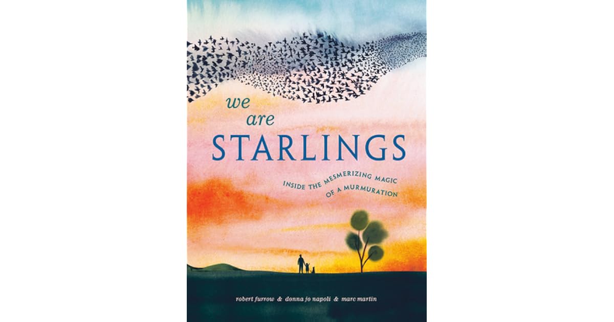 We Are Starlings: Inside the Mesmerizing Magic of a Murmuration by ...