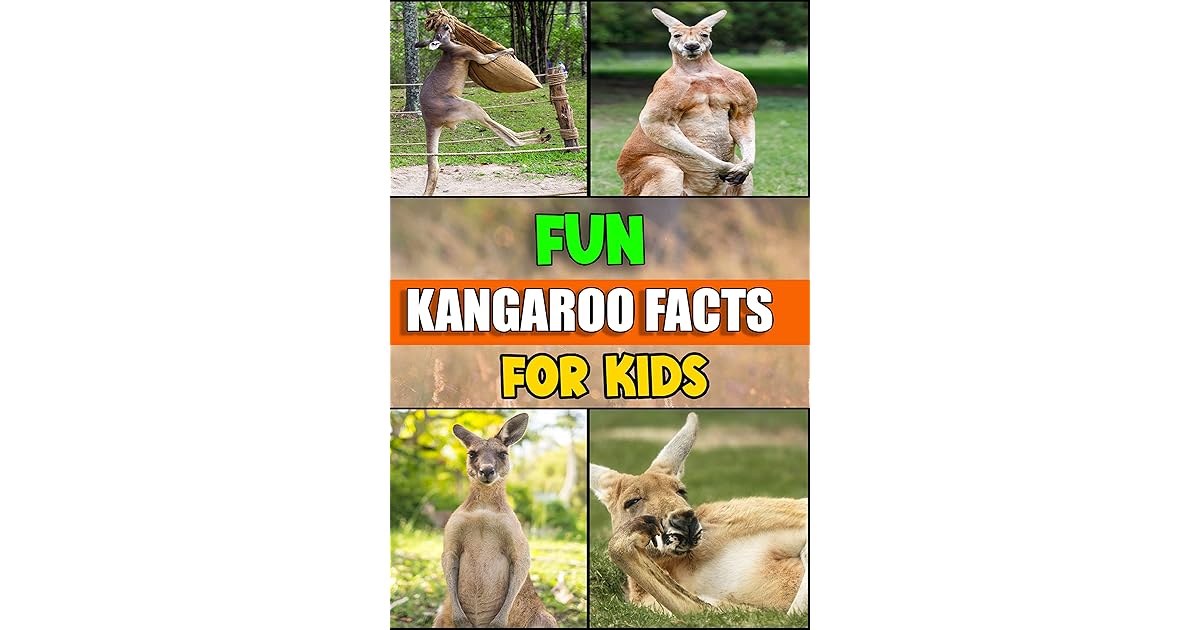Fun Kangaroo Facts For Kids: Amazing Kangaroo Facts and Trivia Book ...