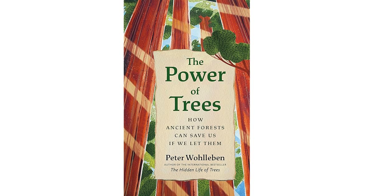 Book giveaway for The Power of Trees: How Ancient Forests Can Save Us ...