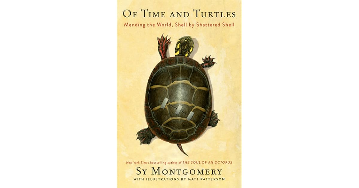 Book giveaway for Of Time and Turtles: Mending the World, Shell by ...