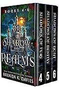 The Shadow Realms Series by Brenda K. Davies