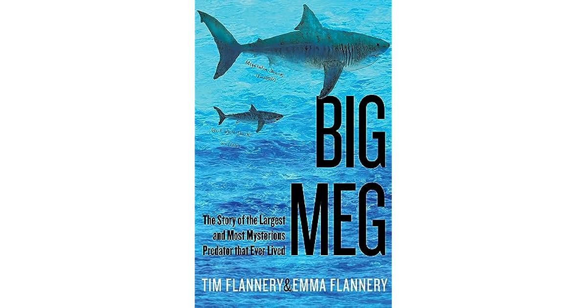 Book giveaway for Big Meg: The Story of the Largest and Most Mysterious ...