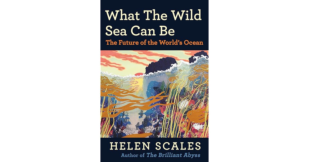 Book giveaway for What the Wild Sea Can Be: The Future of the World’s ...