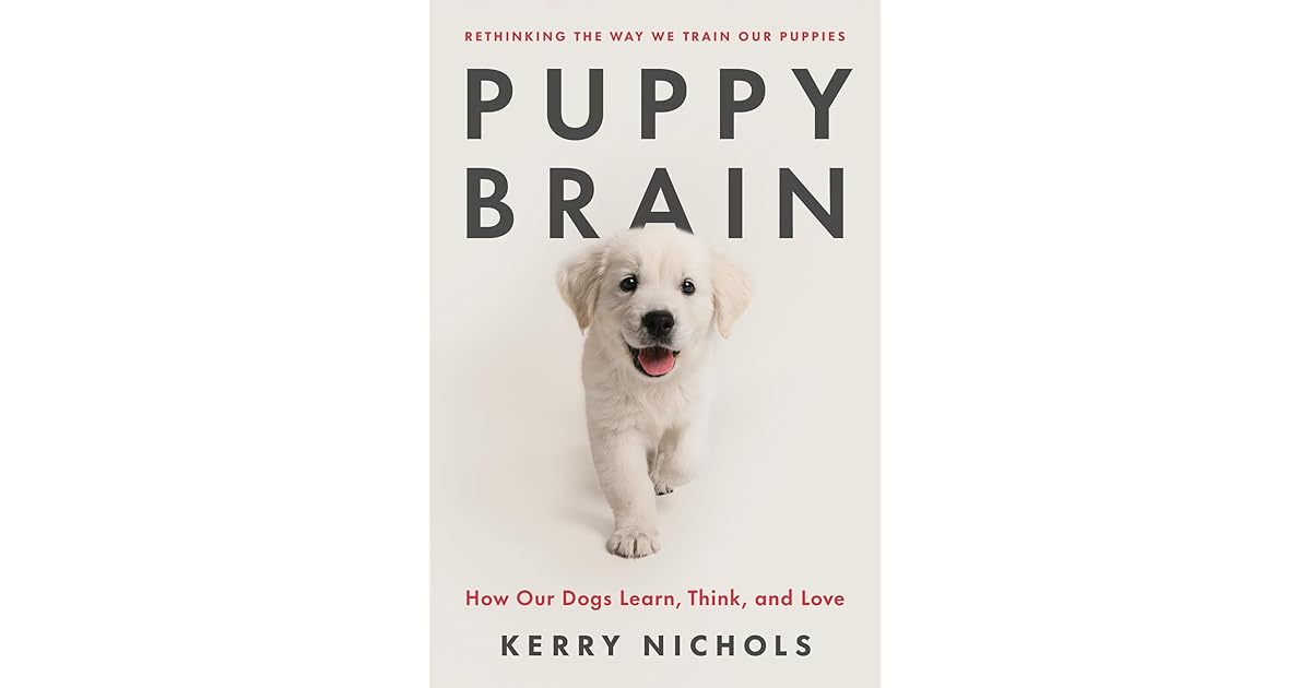 Book giveaway for Puppy Brain: How Our Dogs Learn, Think, and Love by ...
